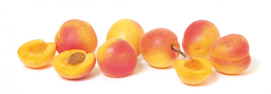 our fruit | Stems