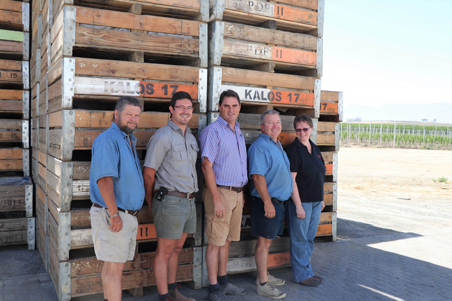 Kalos Farming | Stems