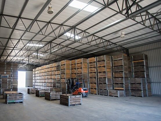 Ceres Cascade Farms | Stems