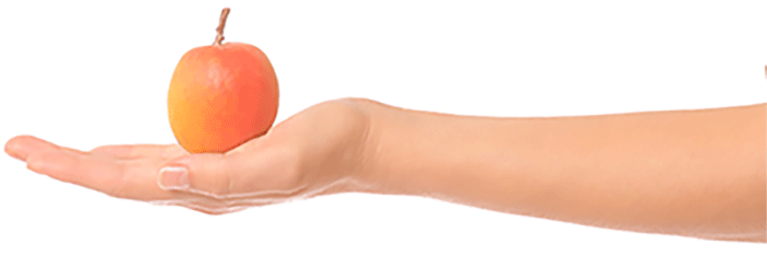 Stems | A South African Stone Fruit supplier to the international market