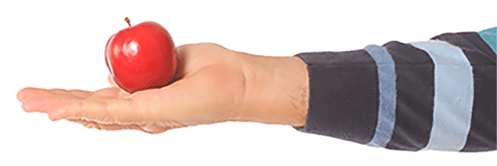 Stems | A South African Stone Fruit supplier to the international market
