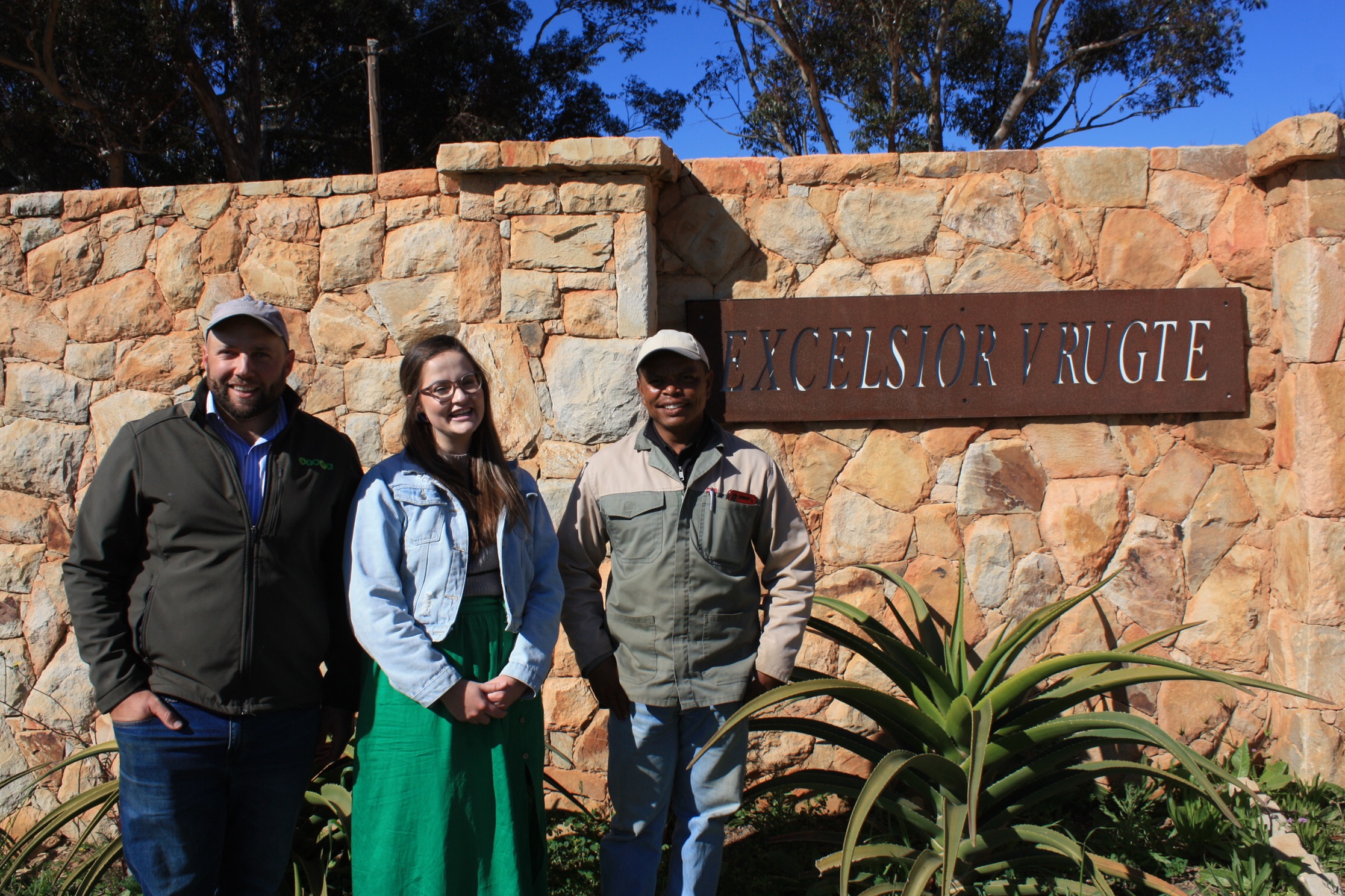 Excelsior Farm | Stems