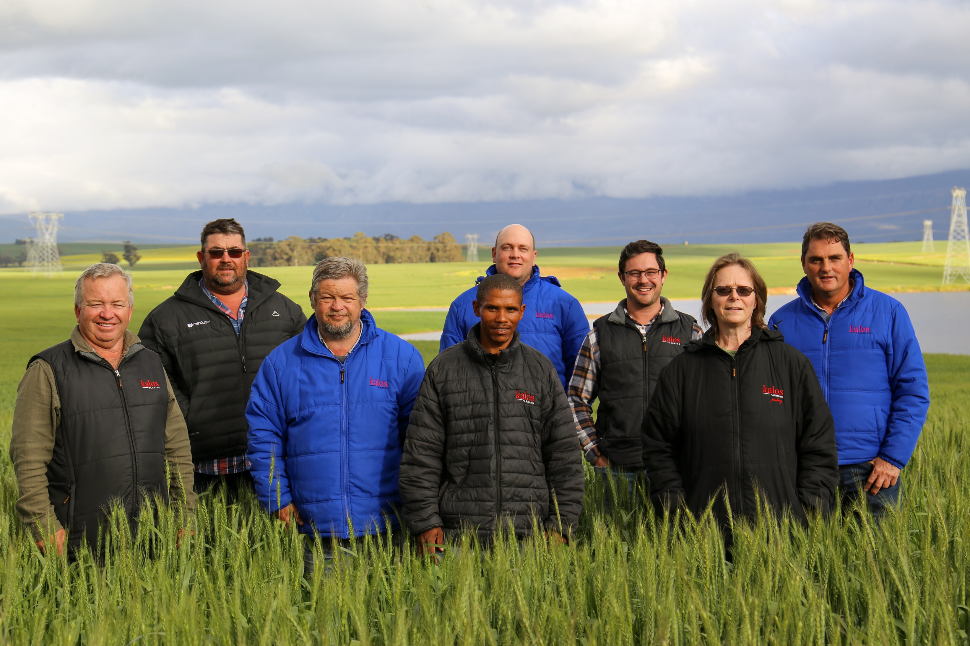 Kalos Farming | Stems